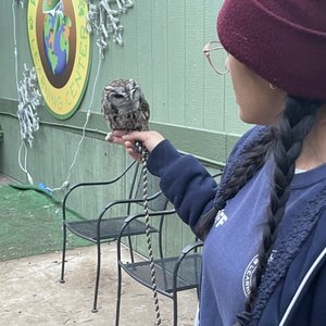 WILDLIFE LEARNING CENTER - 1295 Photos & 636 Reviews - 16027 Yarnell St ...