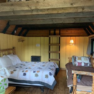 DENALI LAKEVIEW INN - Updated August 2024 - 71 Photos & 22 Reviews ...