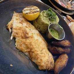 BLUE MATISSE - 549 Photos & 211 Reviews - 2505 NW 87th Ave, Doral ...