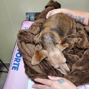 ASHLAND TERRACE ANIMAL HOSPITAL - Updated June 2026 - 41 Photos & 29 ...
