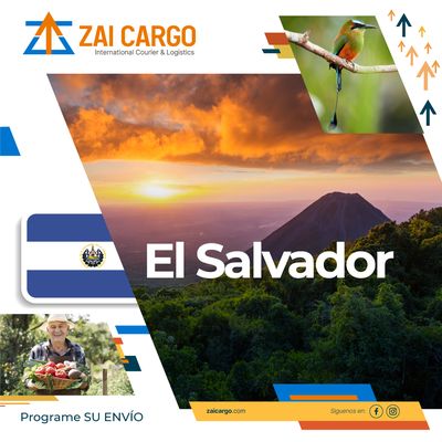 ZAI CARGO - Updated December 2025 - 23 Photos - 8242 NW 70th St, Miami ...