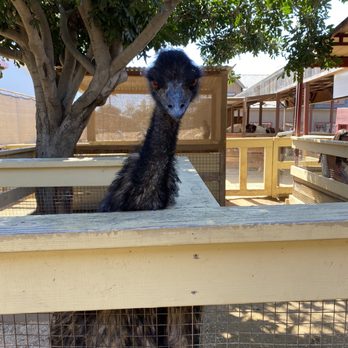 RIVER STREET RANCH - Updated January 2025 - 1029 Photos & 767 Reviews ...