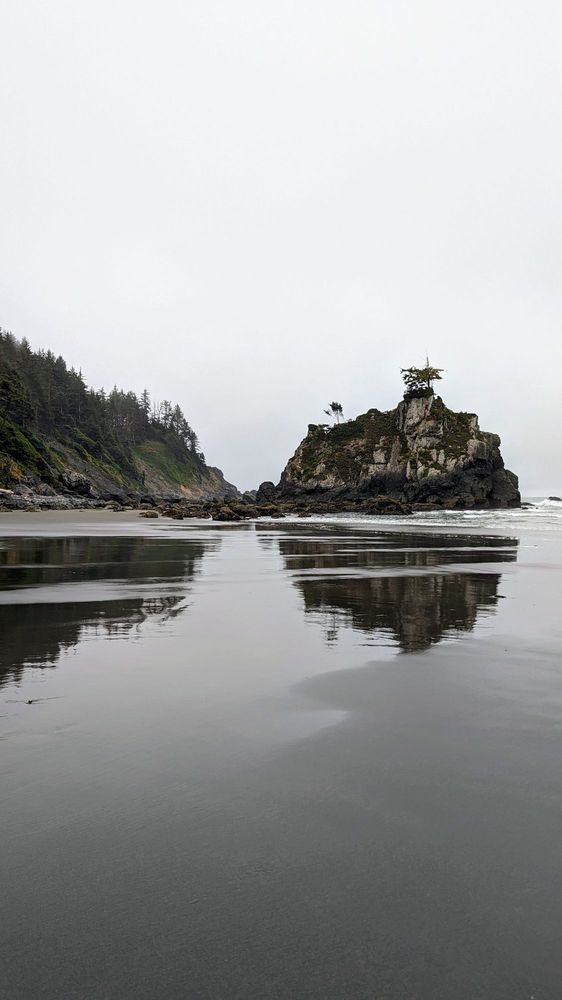 MOTEL TREES - 53 Photos & 62 Reviews - 15495 Hwy 101 S, Klamath ...