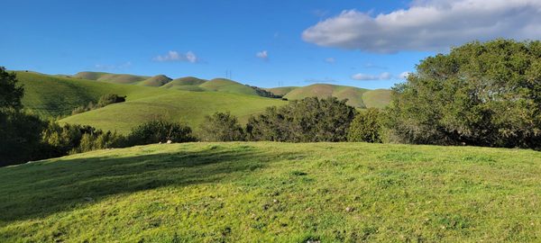 TASSAJARA CREEK REGIONAL PARK - Updated July 2025 - 65 Photos & 16 ...