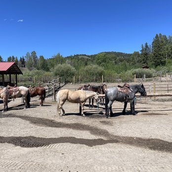 HEART SIX GUEST RANCH - Updated June 2025 - 215 Photos & 176 Reviews ...