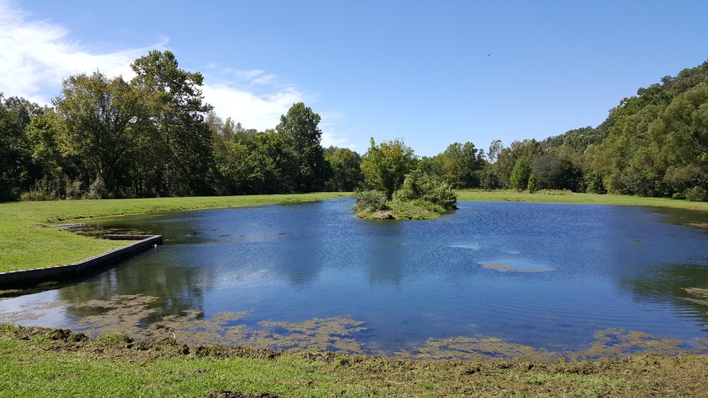 BUCKSNORT TROUT RANCH - Updated July 2025 - 11 Photos - 622 W Sugar ...