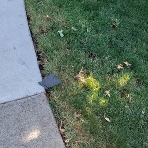 TEUFEL LANDSCAPE - Updated August 2025 - 7431 NE Evergreen Pkwy ...