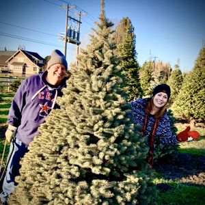 HEMSTROM VALLEY TREE FARM CHRISTMAS TREES - 19 Photos - 4329 Robe ...