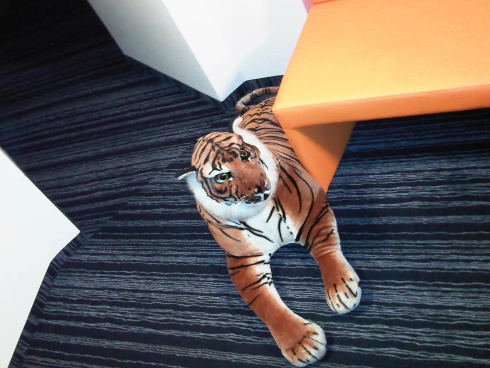 PLANET HOSTEL - ul. Marszalkowska 1, Warszawa, Poland - Hostels - Phone ...