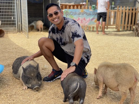 SOCALMINIPIGS - 474 Photos & 243 Reviews - Valley Center, California ...