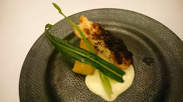 THE WHITE RABBIT - Updated October 2025 - 115 Photos & 37 Reviews - 39C ...