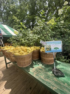 ED LESTER FARMS - Updated December 2025 - 36 Photos - 1165 Hwy 84 E ...