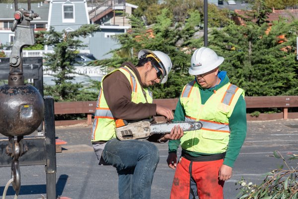 LEWIS TREE SERVICE - Updated September 2025 - 78 Photos & 61 Reviews ...