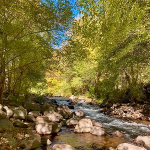 BOOTLEGGER PICNIC AREA - Updated August 2025 - 21 Photos - Arizona 89A ...