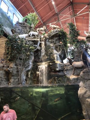 BASS PRO SHOPS - Updated July 2025 - 77 Photos & 50 Reviews - 6425 ...