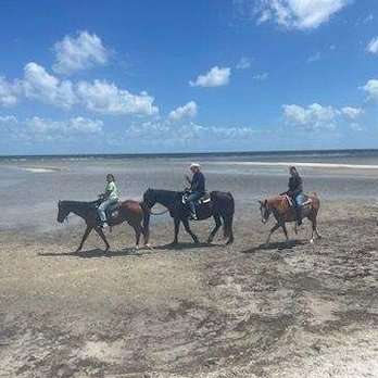 CEDAR ISLAND RANCH - Updated January 2026 - 95 Photos & 13 Verified ...