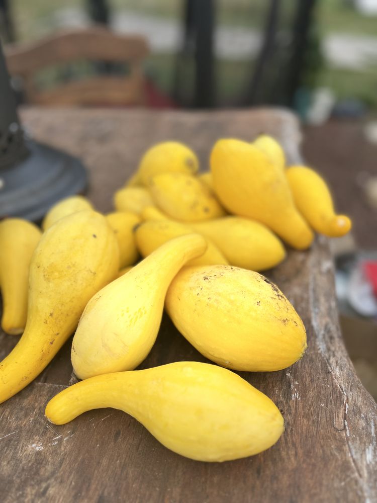 BLACK FARMERS HUB - Updated July 2025 - 75 Photos - 1409 Cross St ...