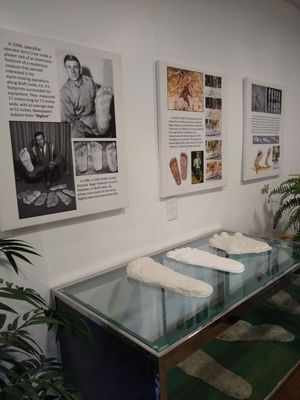 WEST VIRGINIA BIG FOOT MUSEUM - Updated October 2024 - 19 Photos - 400 ...