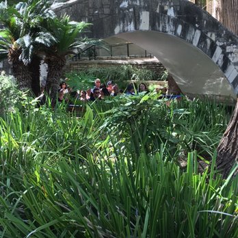 SELENA’S BRIDGE - Updated June 2025 - 50 Photos & 19 Reviews - 1118 ...