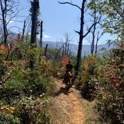 SUGARLANDS RIDING STABLE - 82 Photos & 100 Reviews - Horseback Riding ...