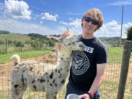 FORT CHISWELL ANIMAL PARK - Updated August 2025 - 81 Photos & 24 ...