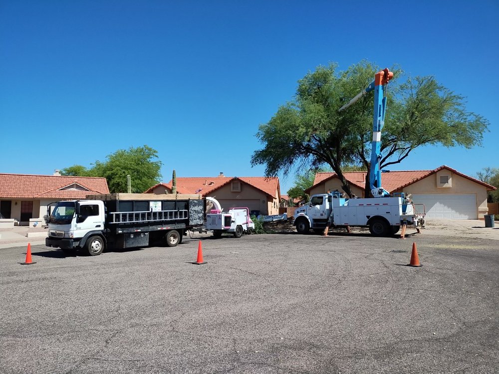 TREE EXPERTS - Updated December 2025 - Tucson, Arizona - Tree Services ...