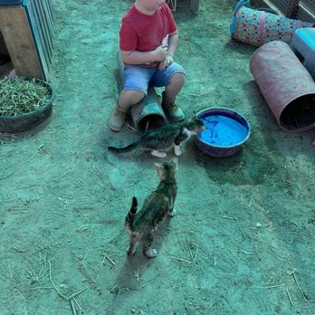 BARBER FAMILY FARM - Updated January 2026 - 336 Photos & 42 Reviews ...