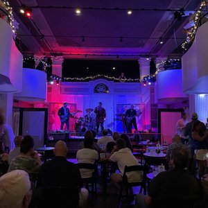 BALD KITTY - Updated May 2025 - 10 Photos - 1113 Providence St, Houston ...