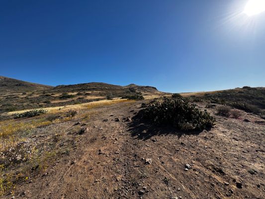 SANTA ROSA VALLEY PARK - Updated February 2025 - 156 Photos - 10241 ...