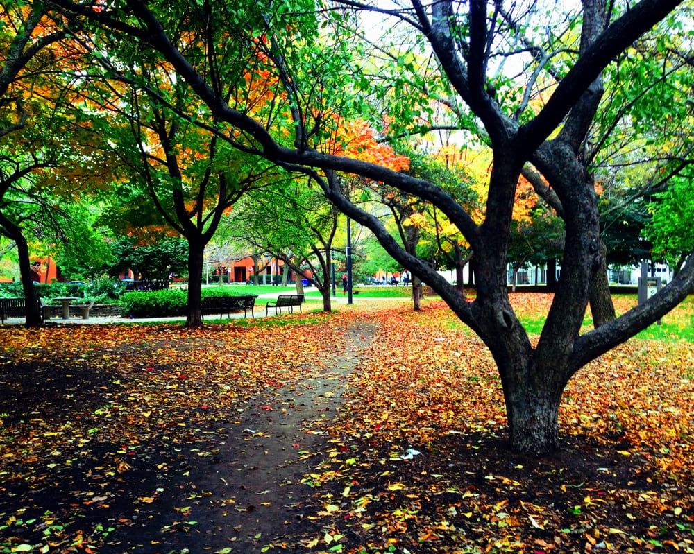 DEARBORN PARK - Updated August 2024 - 17 Photos - 865 S Park Ter ...