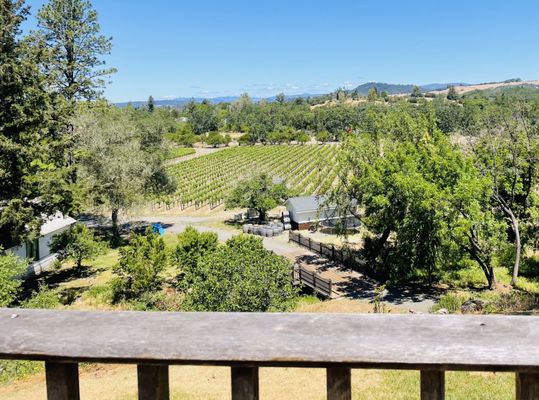 KETCHAM ESTATE WINERY - Updated December 2025 - 1083 Vine St ...