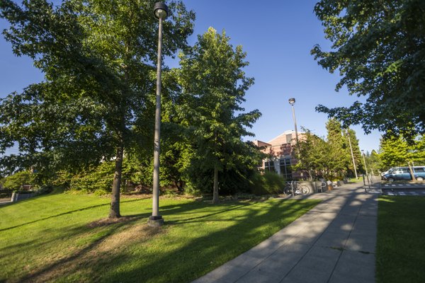 RAINIER COMMUNITY CENTER - Updated December 2025 - 31 Photos - 4600 ...