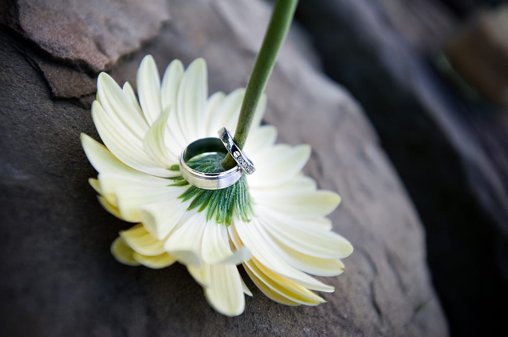 JEFF BENZON PHOTOGRAPHY - 64 Photos - 5028 Erbs Bridge Rd ...