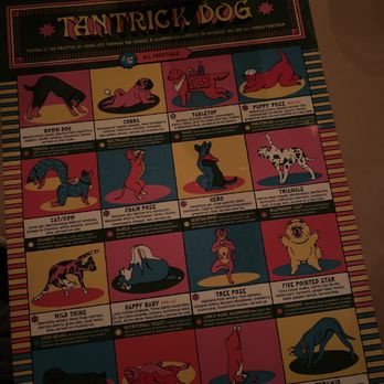 TRICK DOG - 1299 Photos & 934 Reviews - 3010 20th St, San Francisco ...