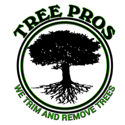 TREE PROS - Updated October 2025 - 52 Photos & 226 Reviews - 2836 W ...