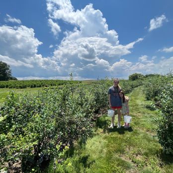 SHAW ORCHARDS - Updated October 2025 - 29 Photos & 16 Reviews - 5594 ...