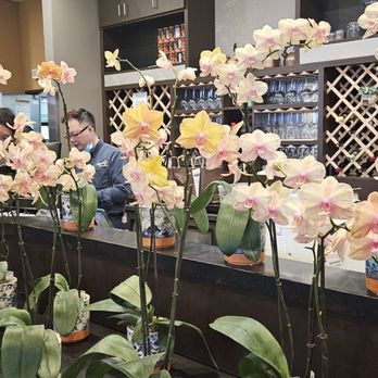 LUNASIA DIMSUM HOUSE - Updated June 2025 - 6815 Photos & 2286 Reviews ...