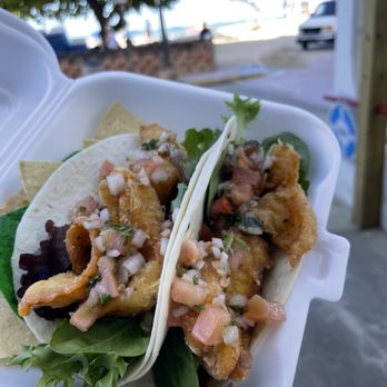 LIFEGUARDS OF THE REEF with 86 real customer photos - Updated August ...