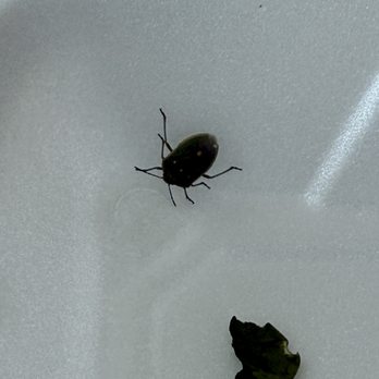 PUB W - Updated November 2025 - 336 Photos & 264 Reviews - 4830 E 61st ...