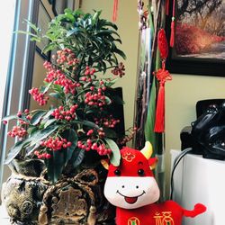 MOONLIGHT SPA - 55 Photos & 108 Reviews - Reflexology - 722 Washington ...