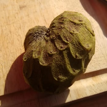 ENCHANTING BLUEBERRY FARM - Updated October 2025 - 17 Photos - 117 West ...