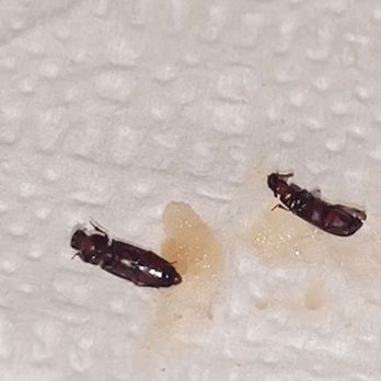 CASA MOTA - 200 Photos & 280 Reviews - 8151 Arlington Ave, Riverside ...