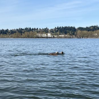 SABOR DEL RIO CAFE - Updated December 2025 - 119 Photos & 51 Reviews ...