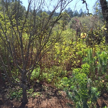 STONE EDGE FARM WINERY - Updated January 2026 - 54 Photos & 12 Reviews ...