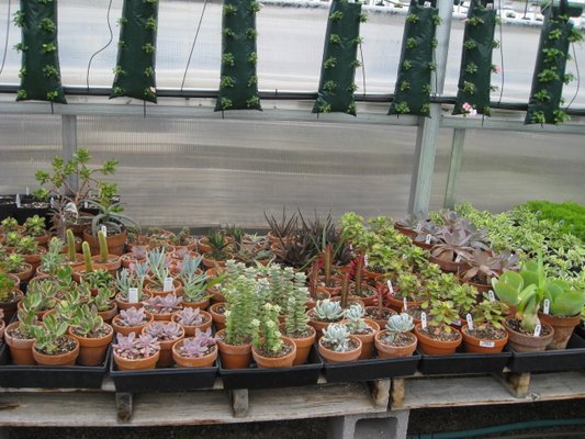 PINEY RIDGE GREENHOUSE - TEMP. CLOSED - Updated October 2025 - 28 ...