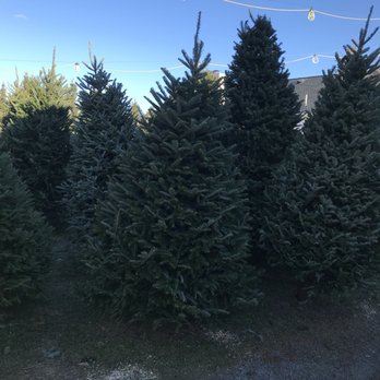 MIKE’S TREE FARM - Updated January 2025 - 13 Photos & 20 Reviews - 1705 ...