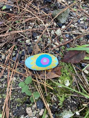 NORTH CHARLESTON WANNAMAKER COUNTY PARK - Updated September 2025 - 119 ...