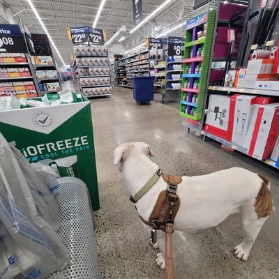 WALMART SUPERCENTER - Updated August 2024 - 14 Photos & 14 Reviews ...