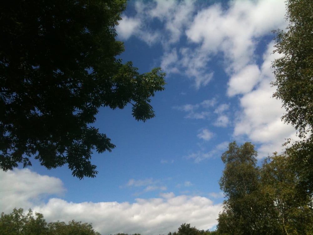 WARD RIVER VALLEY REGIONAL PARK - Updated November 2024 - Swords, Co ...