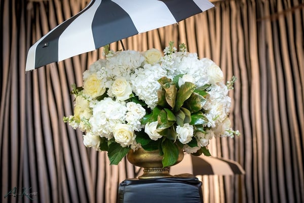 CHLOE COOK EVENTS - Updated December 2025 - 15 Photos - Houston, Texas ...